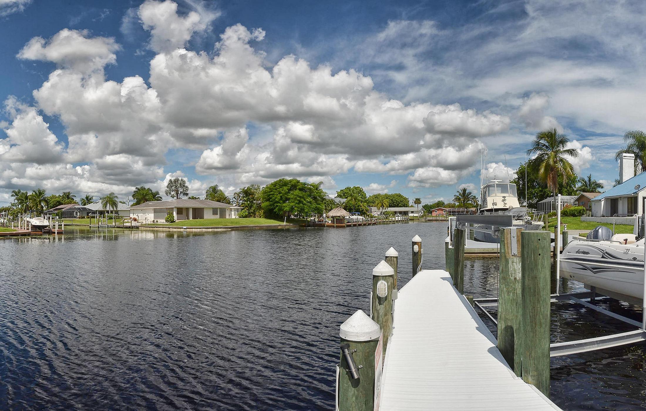 Caribbean Island Dolphin View