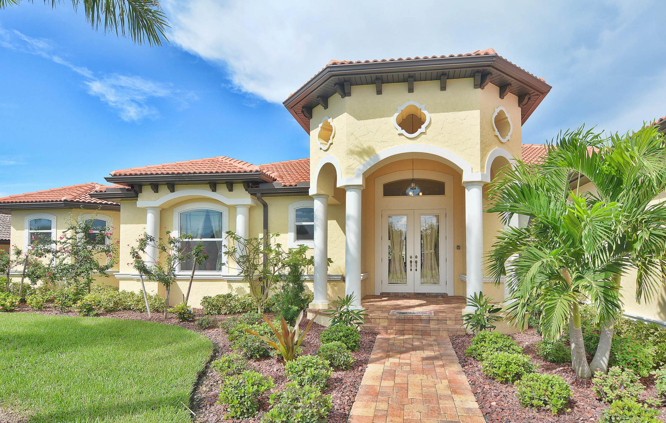 Caribbean Island Dolphin View